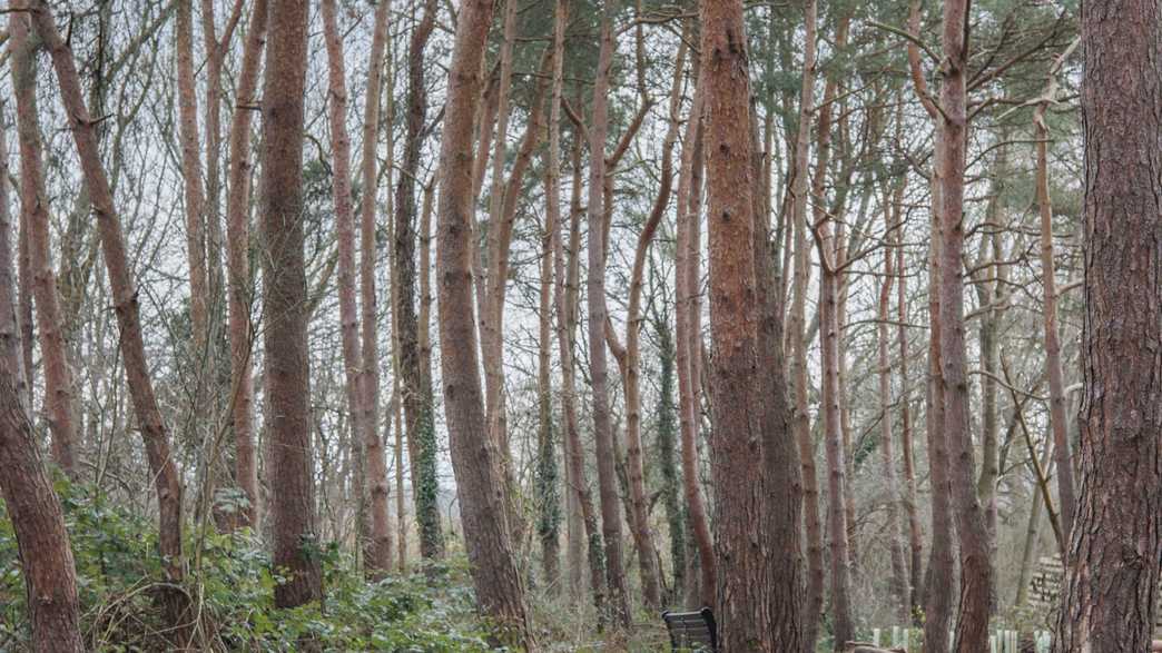 Gradwell Park | Retirement Living | South Chailey, BN8 4PX