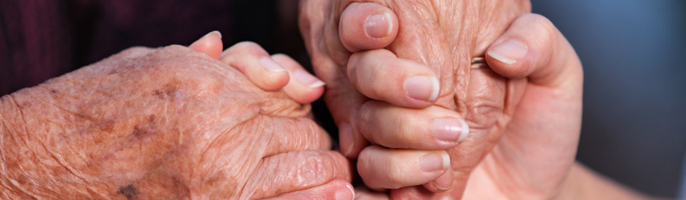 Plas Garnedd Care Limited | Home Care | Llanfairpwllgwyngyll